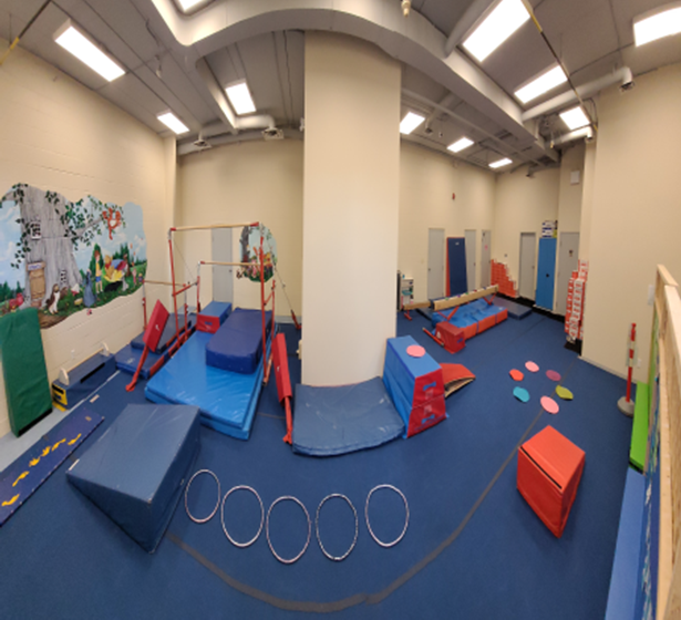 Home Page :: Caledonia Gymmies Gymnastics powered by Uplifter